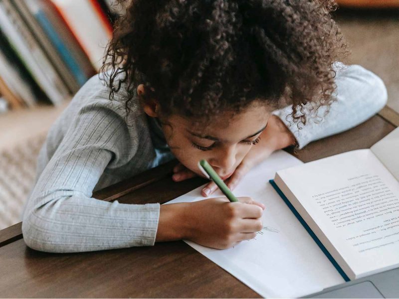 Learnwell – Education and Online Courses Theme